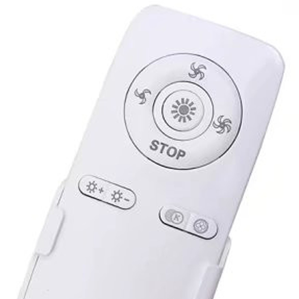 Minimalist Ceiling Fan With Light | Shelly Lighting